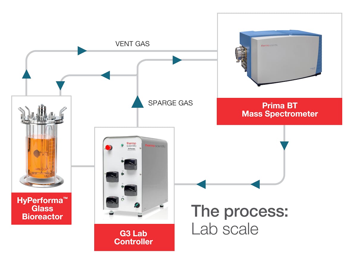 Mass spectrometry: Optimizing biopharma manufacturing | Pharma ...